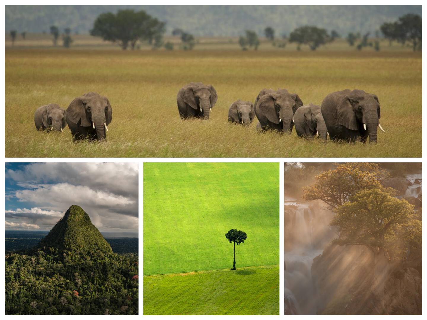 Naturwunder Erde - Winsen Aktuell