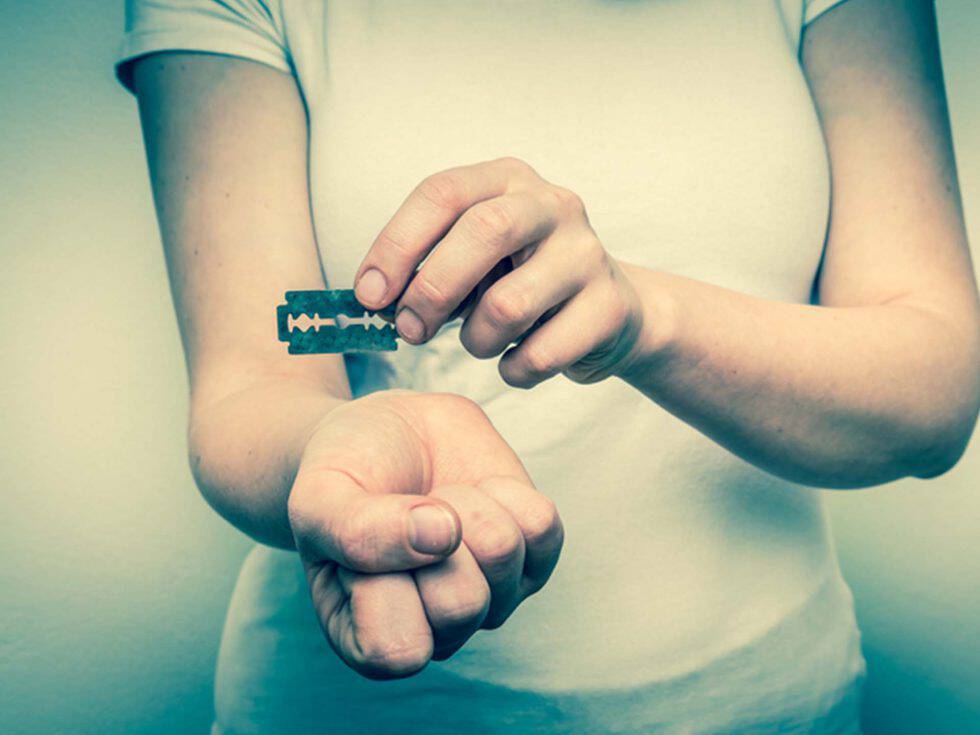 LK Harburg: Infoveranstaltung über selbstverletzendes Verhalten ...