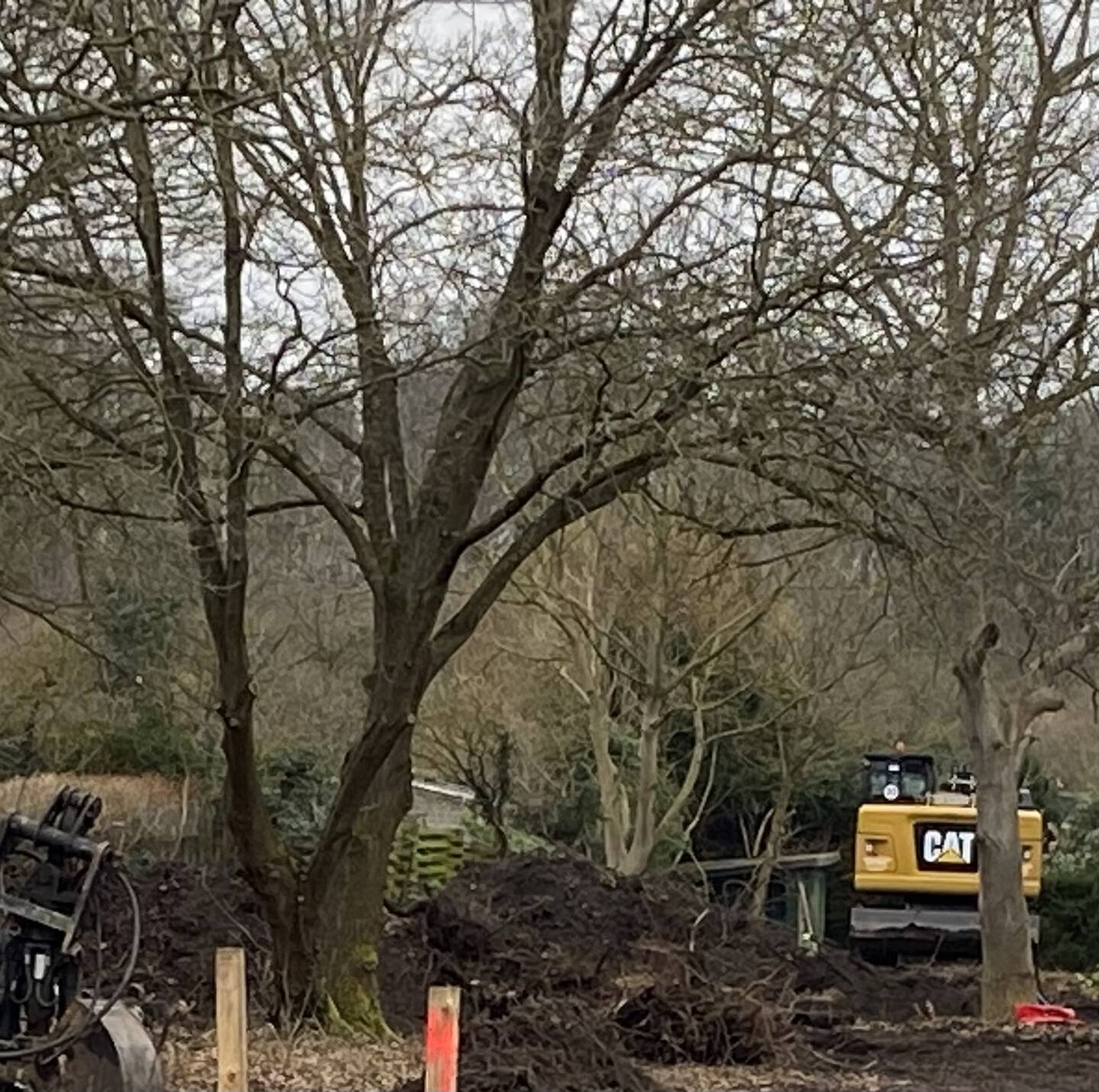 Die B 216 wird grüner - Winsen Aktuell