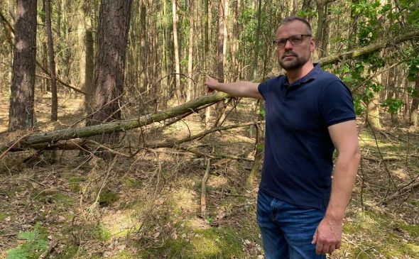 LoCarlo und der Scheiterhaufen im Wald - Winsen Aktuell